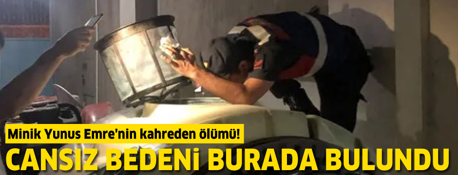 Minik Yunus Emre'nin kahreden ölümü! Minik Yunus Emre'nin kahreden ölümü!
