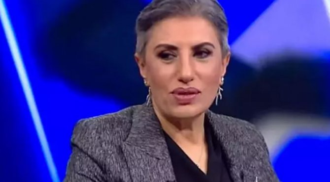 Kürtçe resmi dil olsun diyen Pınar Hacıbektaşoğlu kimdir, nereli, evli mi?